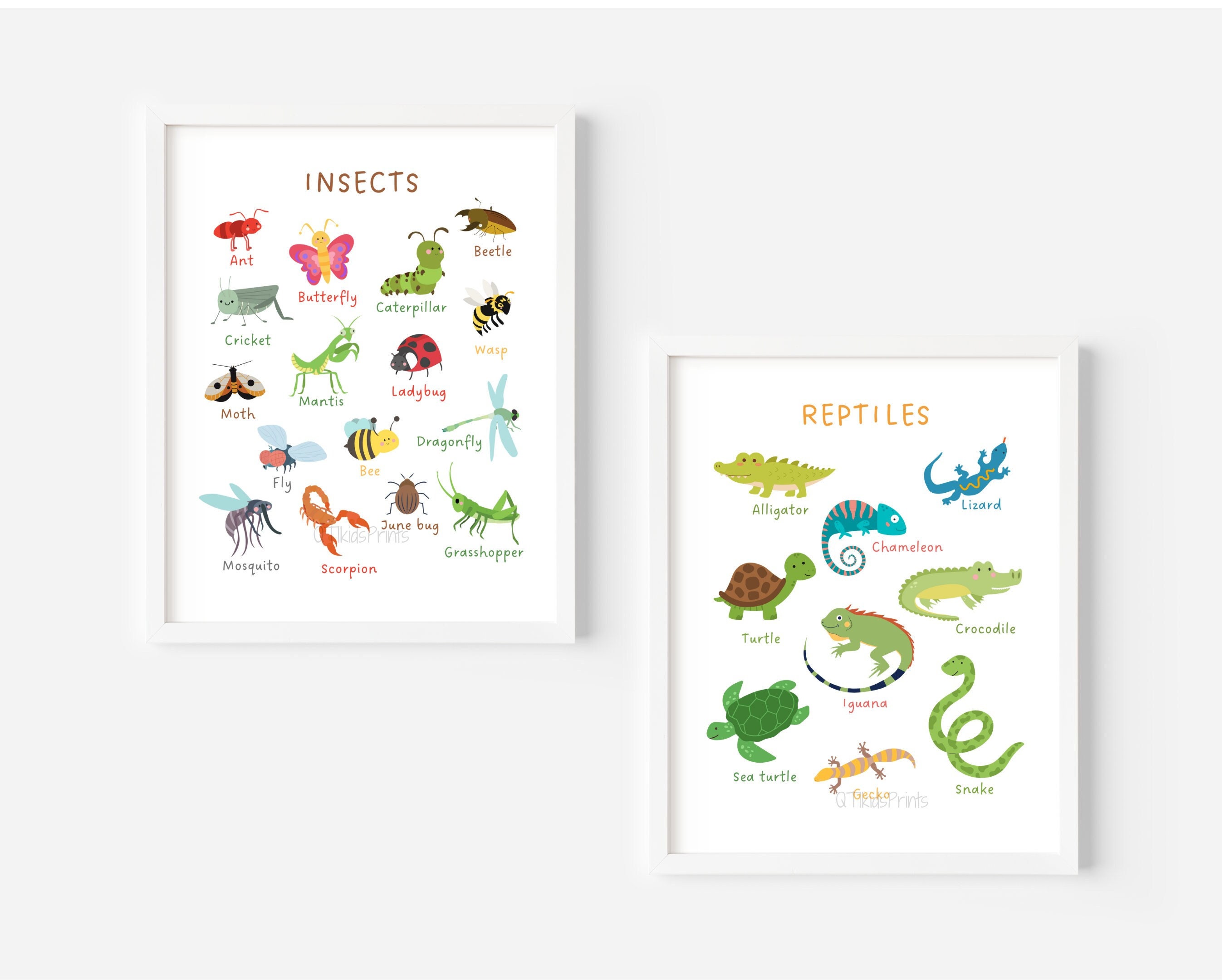 Insects Reptiles Prints, Kids Educational Poster, Classroom Poster ...