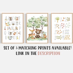 Woodland Alphabet Number Posters, Woodland Nursery Prints, Animal ...