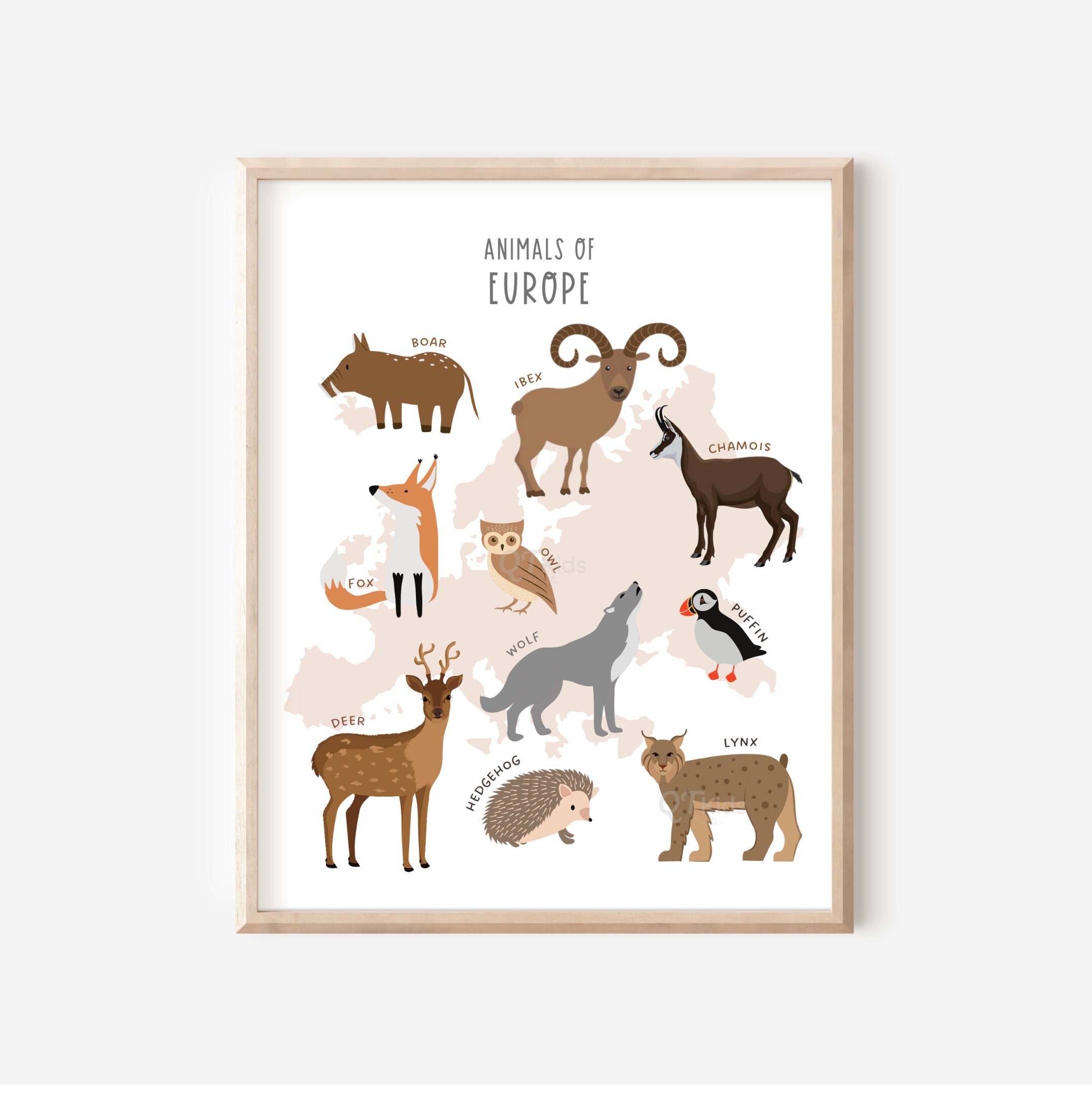Animals of Europe Educational Printable Classroom Posters - Etsy