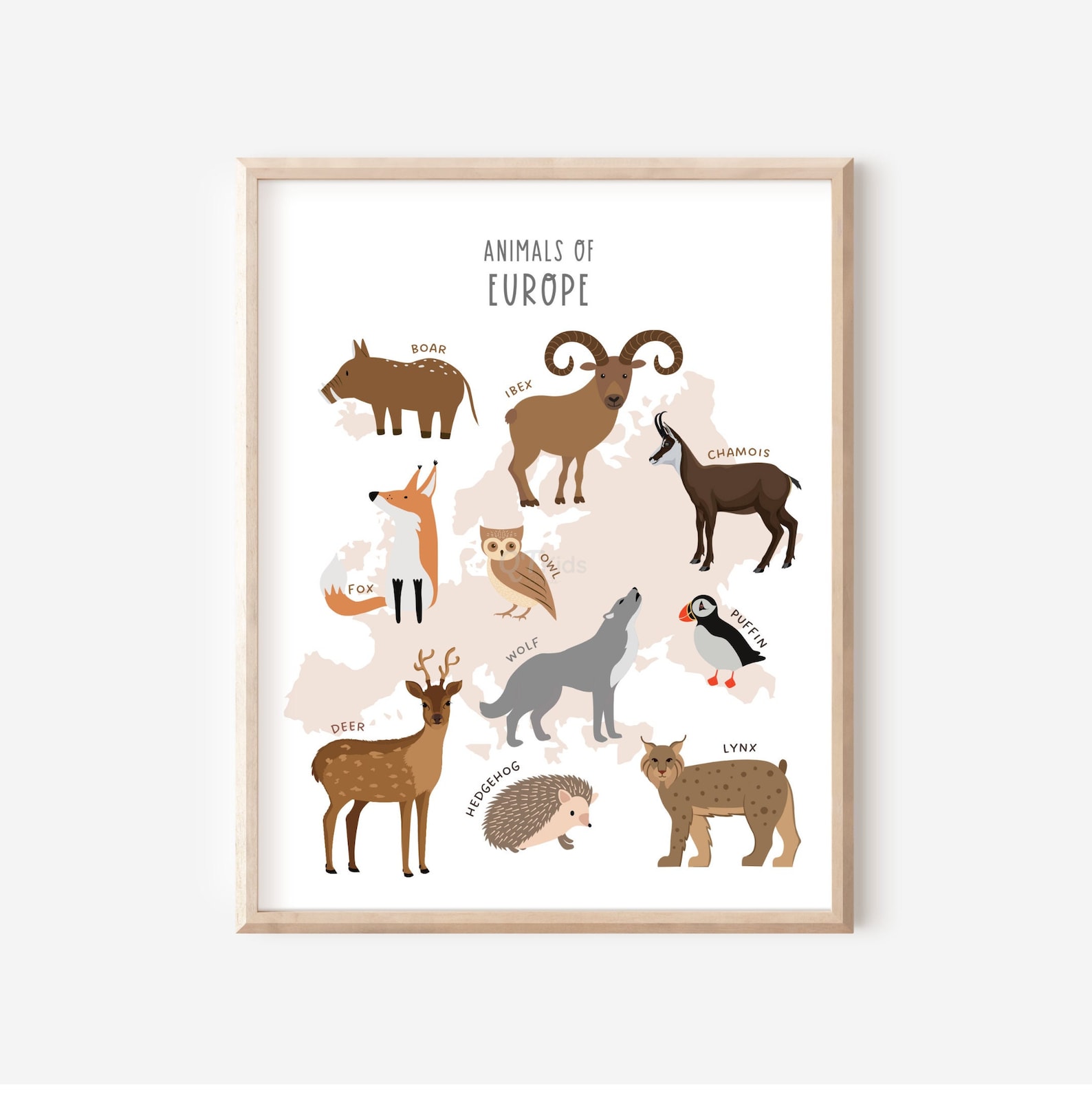 Animals of the World Prints Set of 7, Educational Printable, Classroom ...