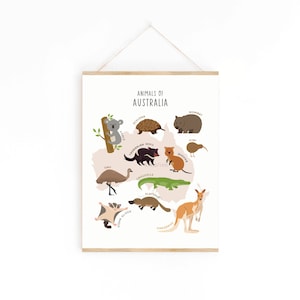 Animals of Australia, Educational Classroom Posters, Montessori Prints ...