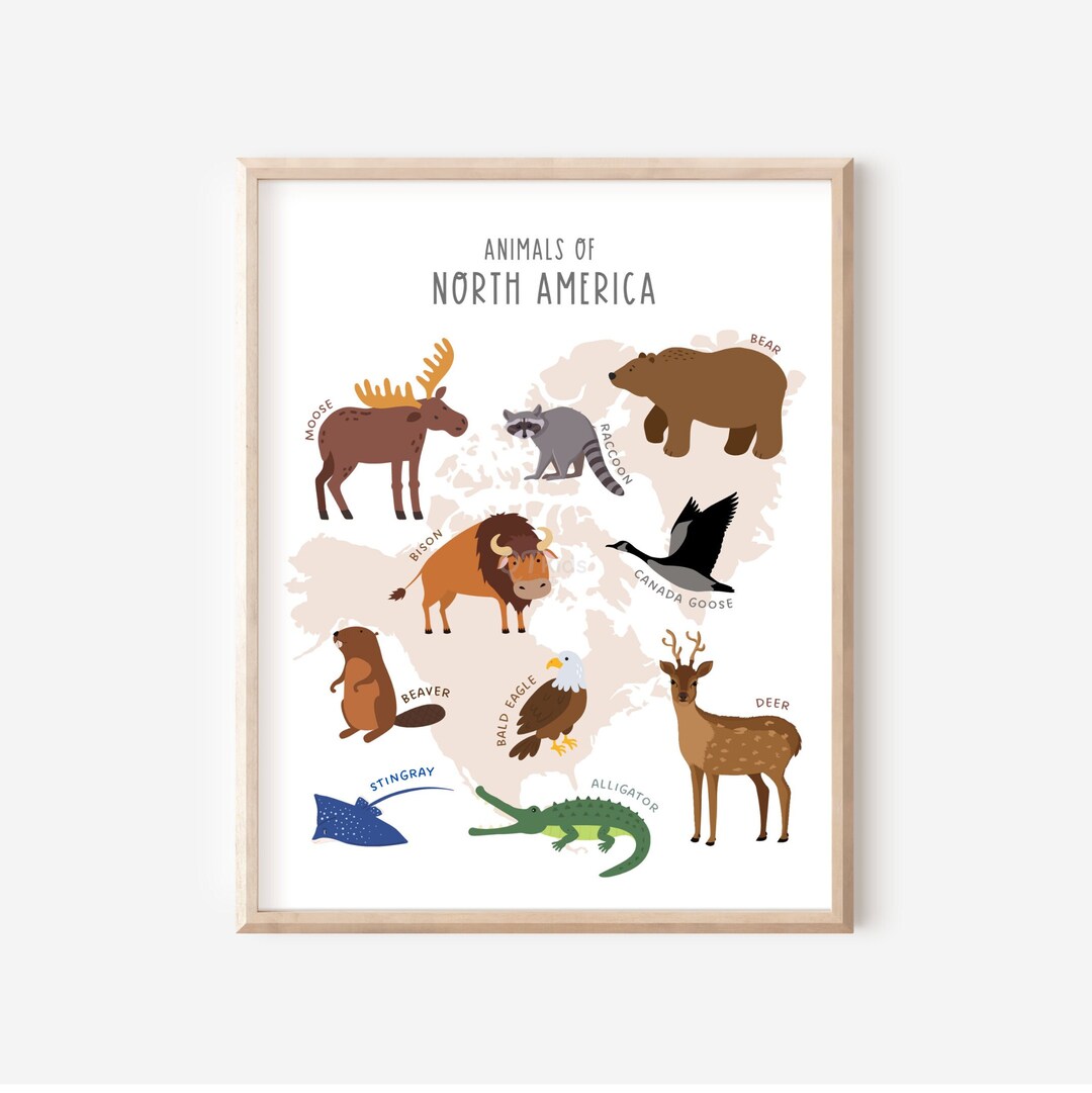 Animals of North America, Educational Classroom Posters, Montessori ...