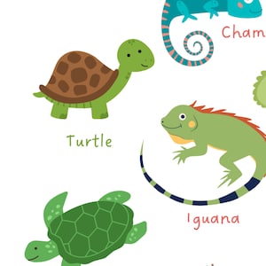 Reptiles Print, Kids Educational Poster, Classroom Poster, Home School ...