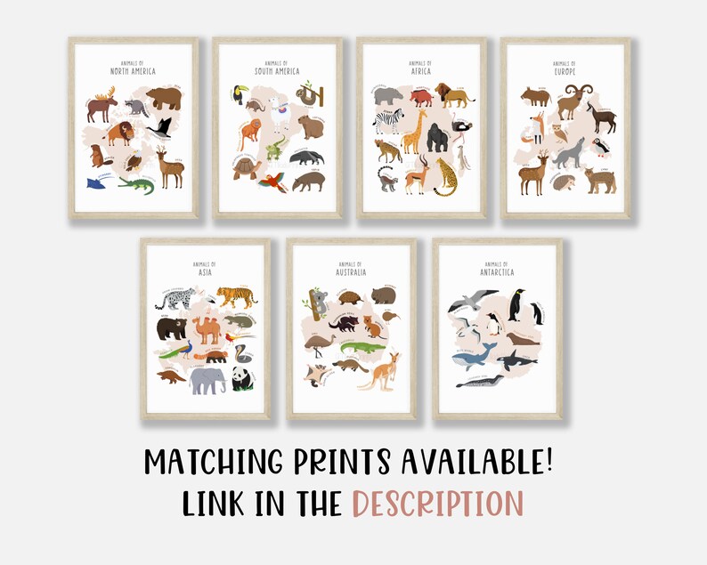 Animals of Europe Educational Printable Classroom Posters - Etsy