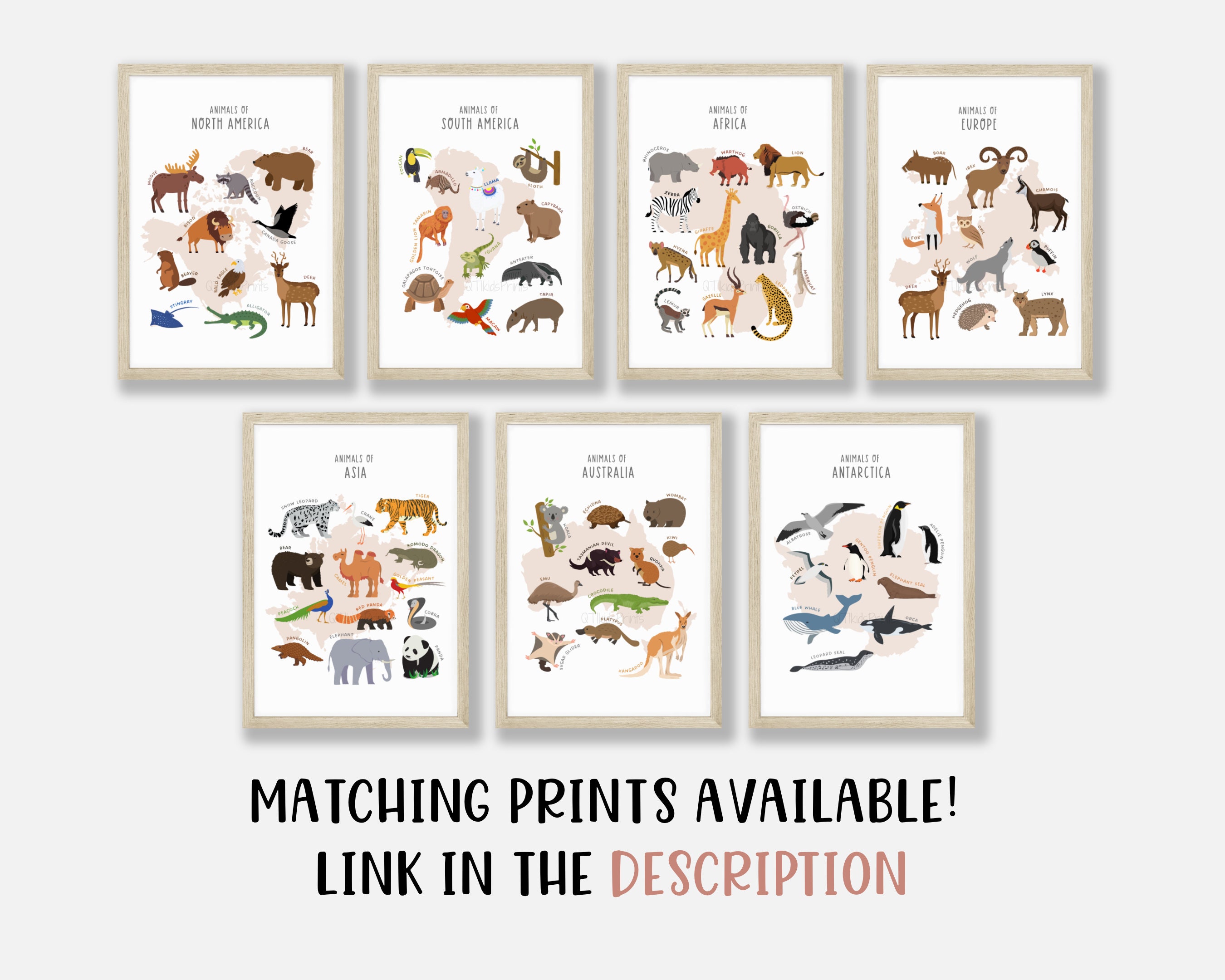 Animals of Europe, Educational Printable, Classroom Posters, Montessori ...