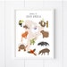 Animals of South America, Educational Classroom Posters, Montessori ...