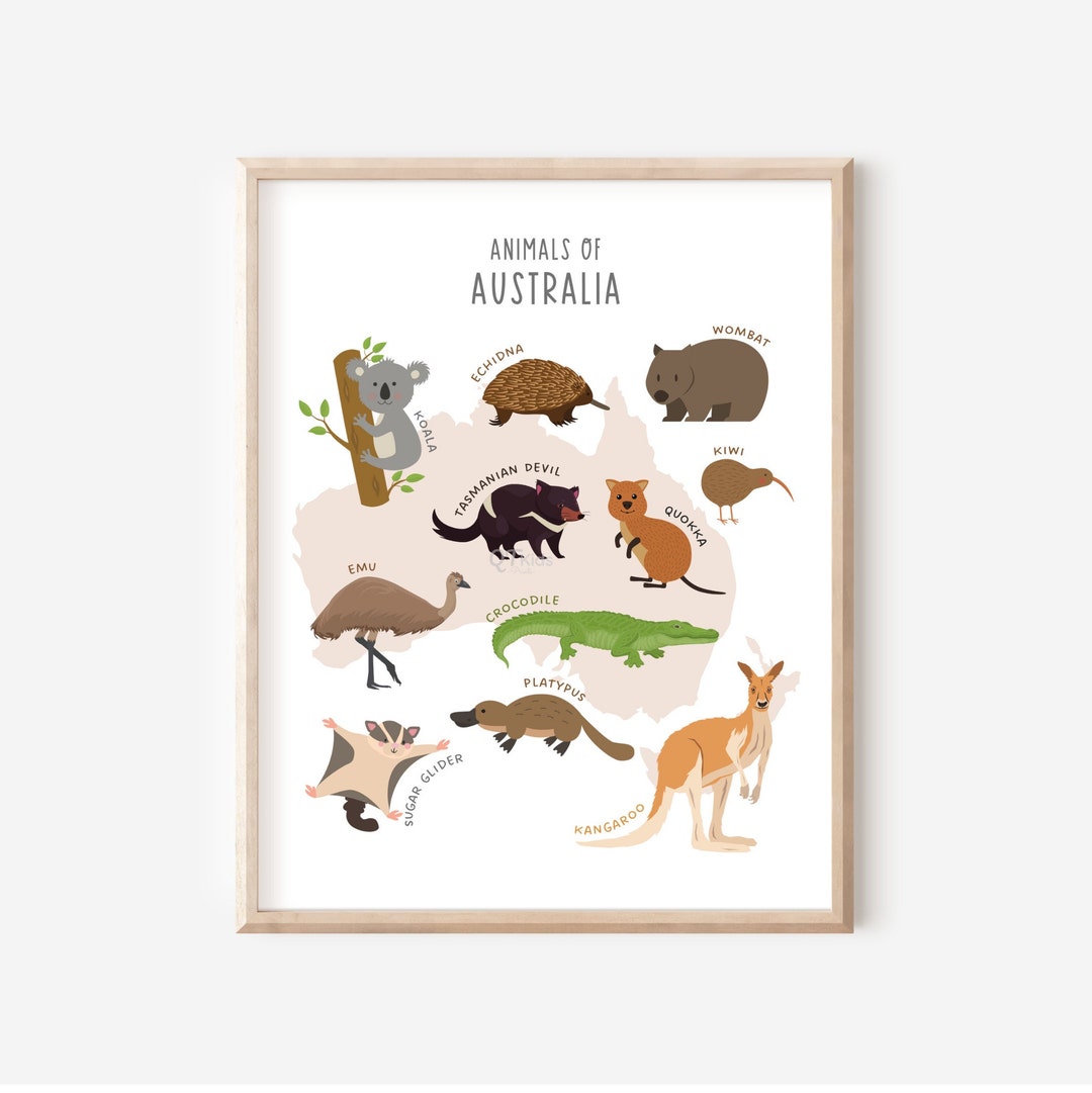 Animals of Australia, Educational Classroom Posters, Montessori Prints ...