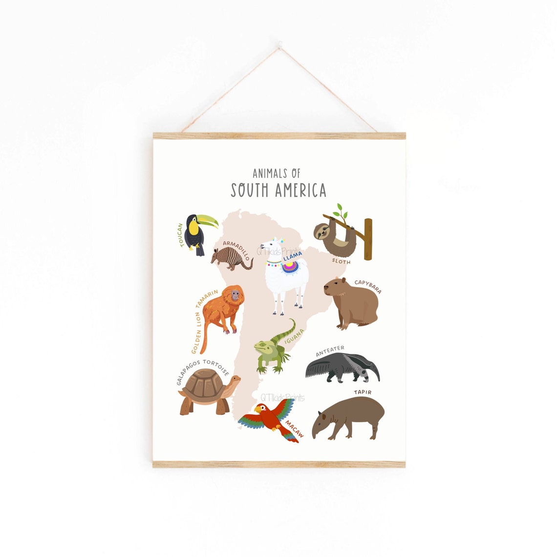 Animals of South America, Educational Classroom Posters, Montessori ...
