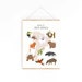 Animals of South America, Educational Classroom Posters, Montessori ...