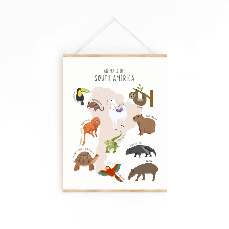Animals of South America Educational Classroom Posters - Etsy