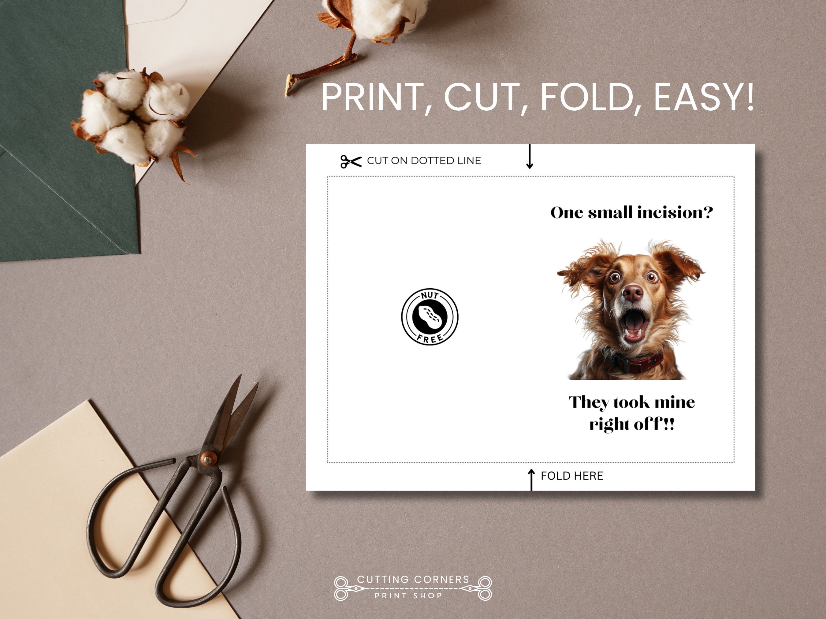 Funny Vasectomy Card for Him, Printable Happy Vasectomy Greeting Card ...