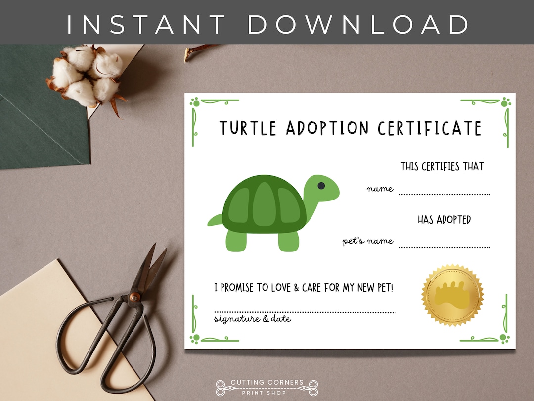 Printable Turtle Adoption Certificate, New Pet Keepsake, Pet Turtle ...