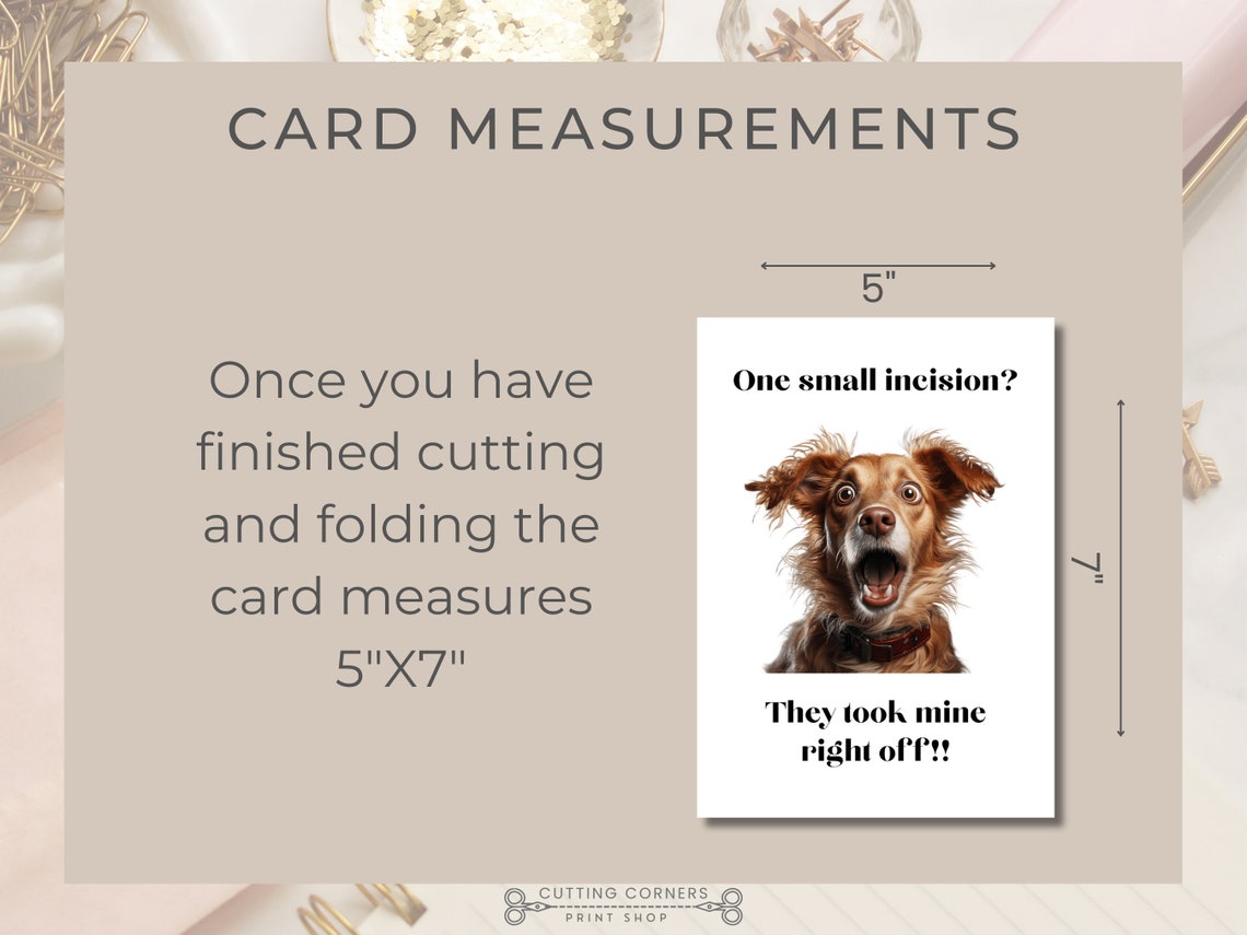 Funny Vasectomy Card for Him, Printable Happy Vasectomy Greeting Card ...