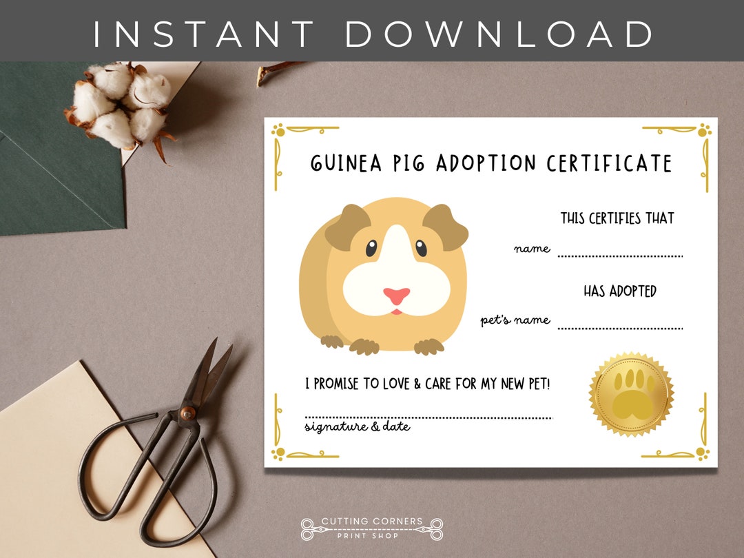 Printable Guinea Pig Adoption Certificate, New Pet Keepsake, Guinea Pig ...