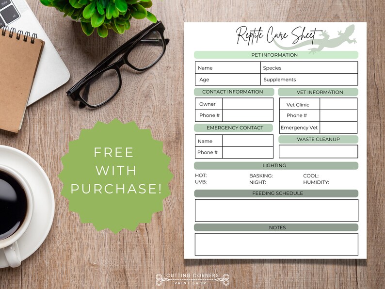 Printable Gecko Adoption Certificate, New Pet Keepsake, Pet Gecko Gift ...