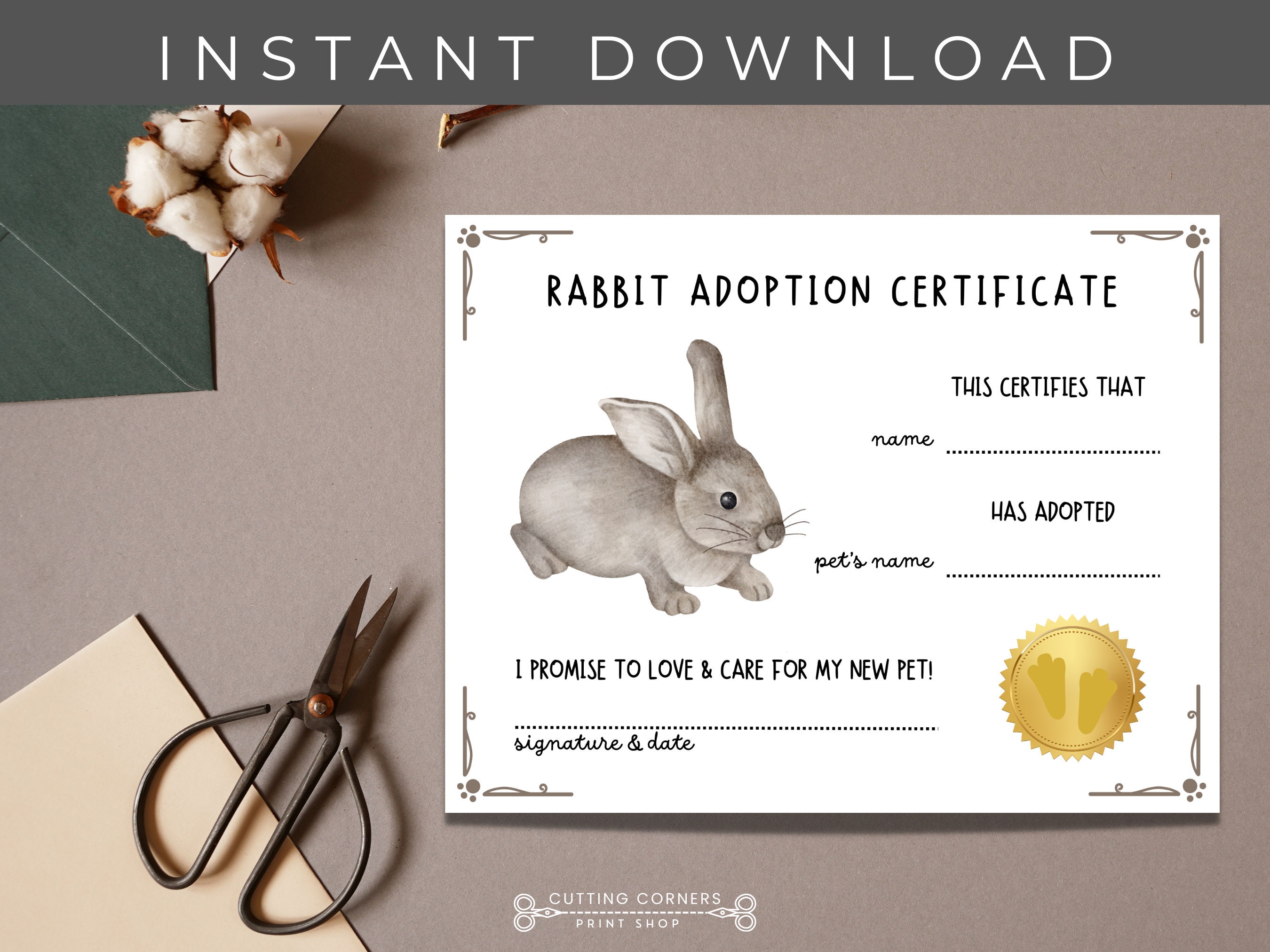 Printable Rabbit Bunny Adoption Certificate, New Pet Keepsake, Rabbit Gift, Kid's Pet Adoption ...