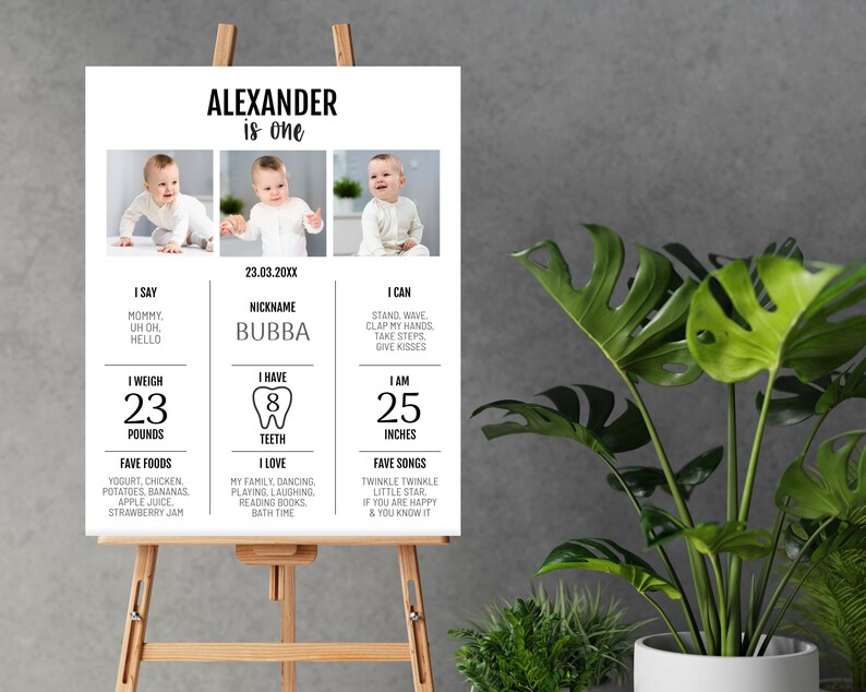 Editable Milestone Poster. Milestone Poster 1st Birthday. 1st - Etsy