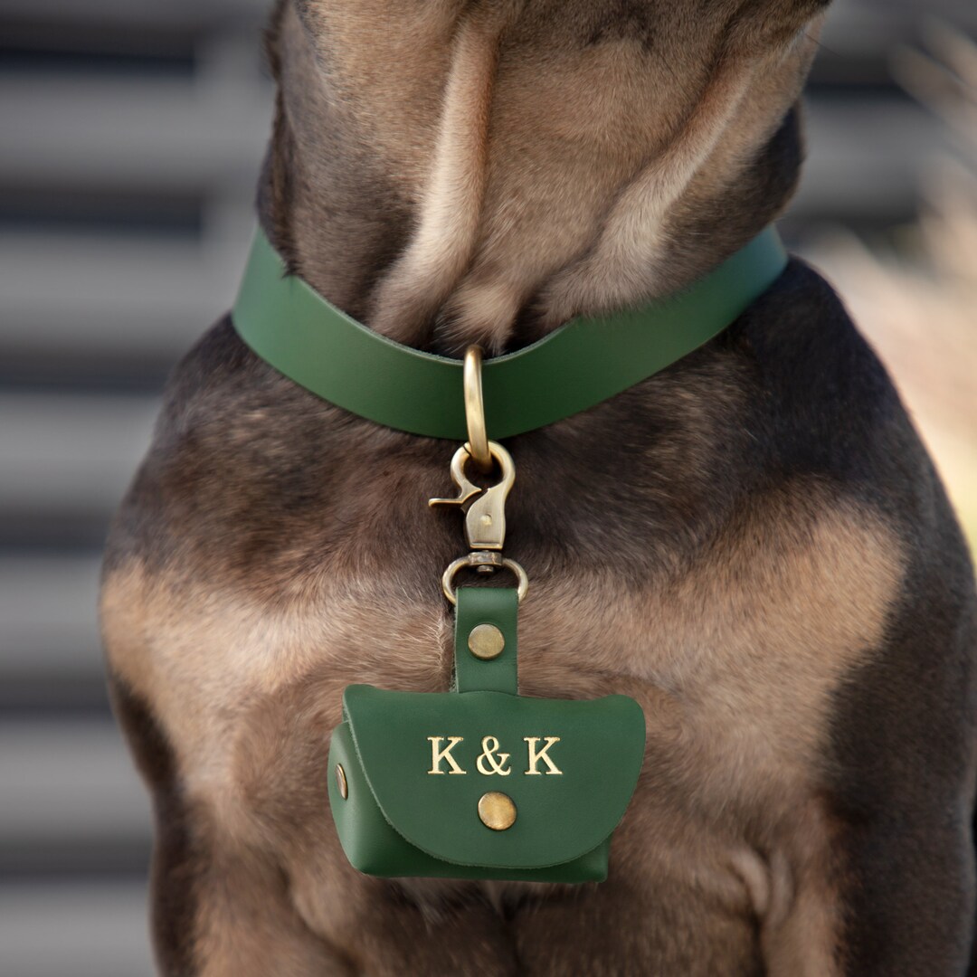 Personalized Proposal Kit - Dog Leather Ring Pouch With Collar, Pet ...