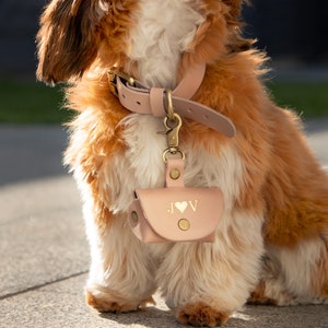 Dog Proposal, Ring Box Holder for Pet, Ring Bearer Box for Dog, Dog ...