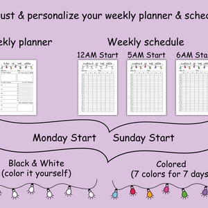 Hourly Weekly Planner & Schedule Printable A5 ' Undated Tabs ' Visual ...