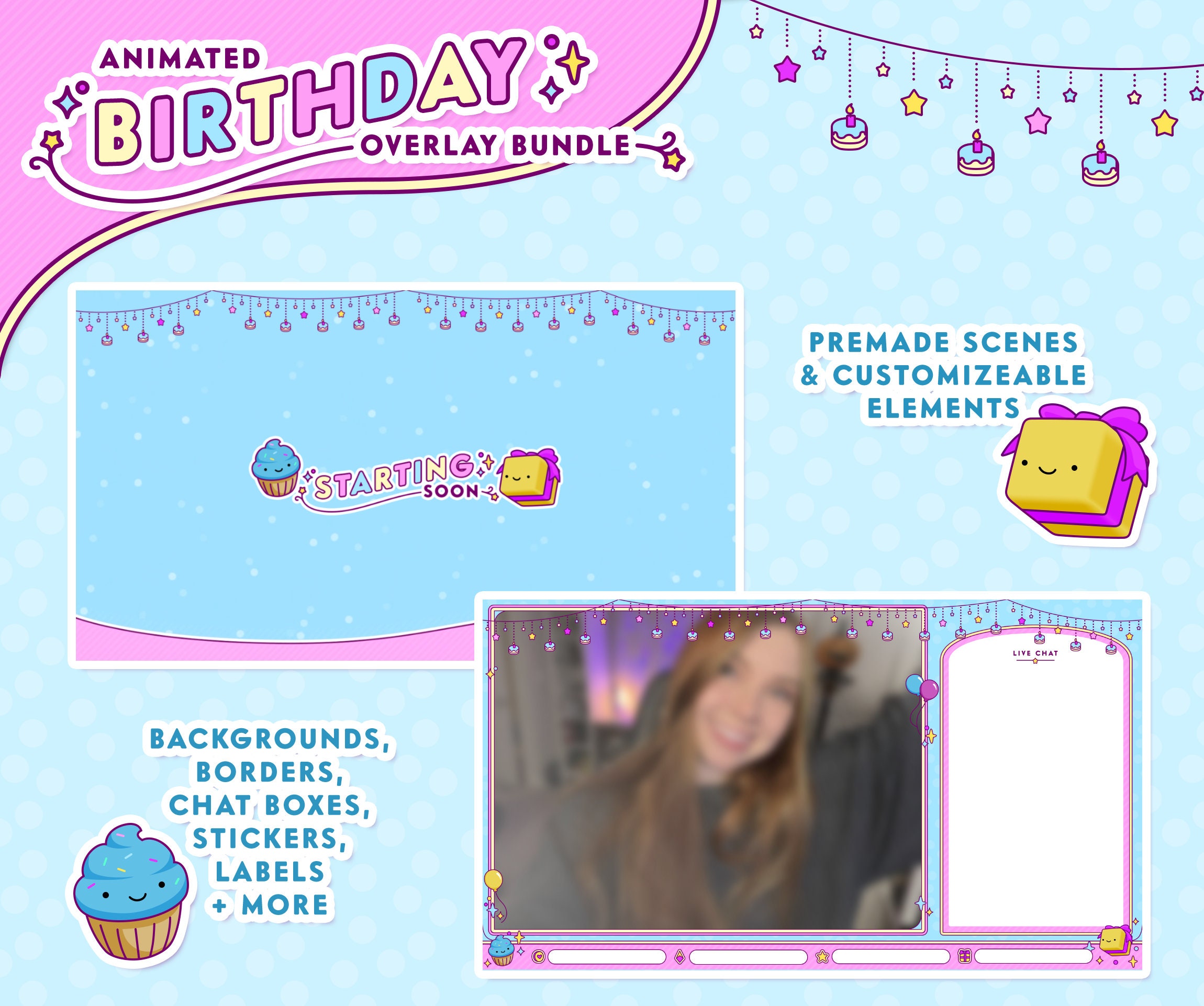 Birthday Animated Twitch Stream Overlay Package - Etsy