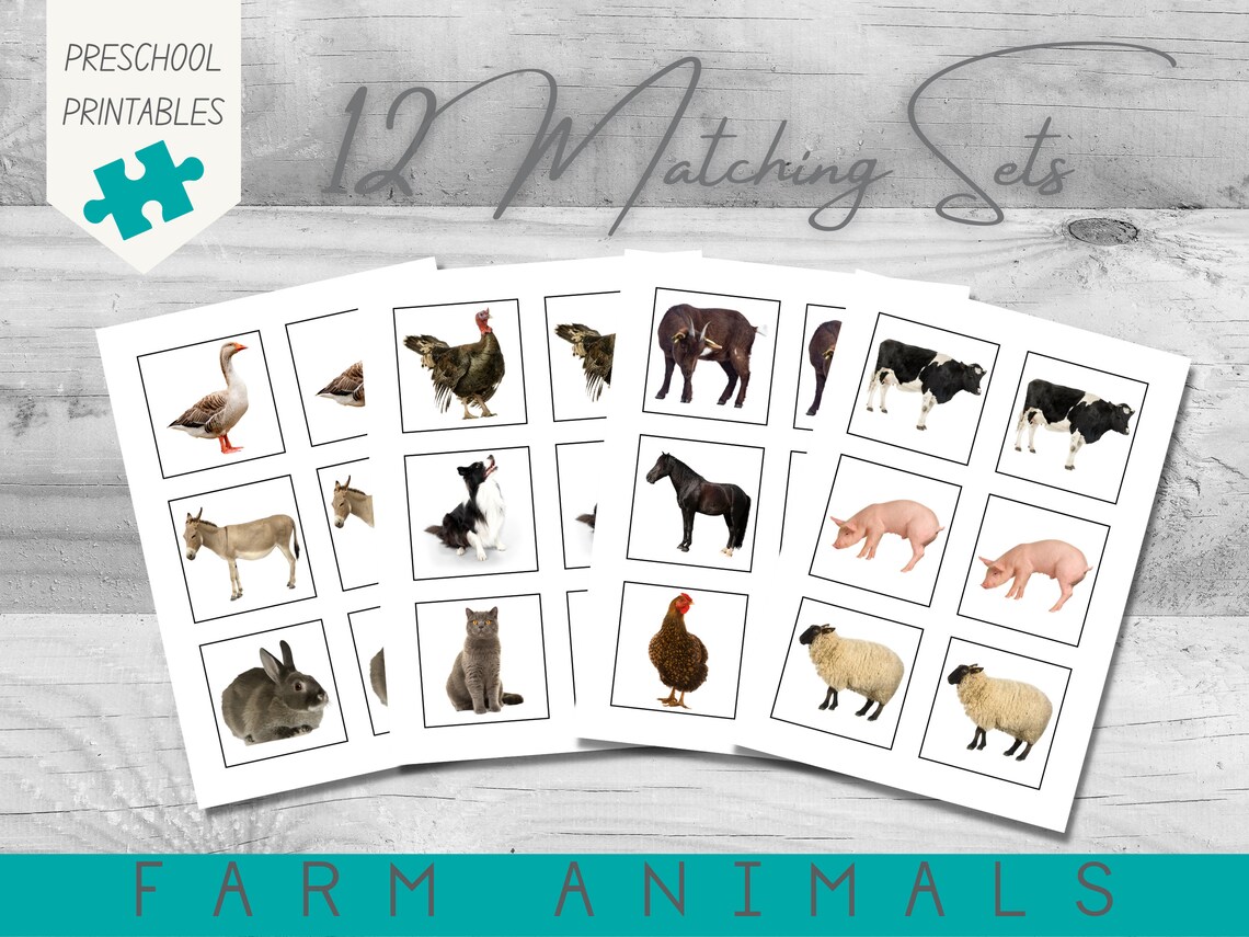 Farm Animal Matching Cards | 12 Sets | PDF Printable - Etsy