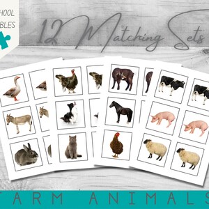 Farm Animal Matching Cards | 12 Sets | PDF Printable - Etsy