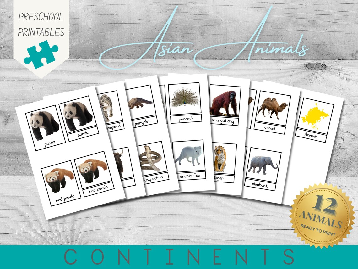 Montessori Continents | Animals of the World Bundle | Matching Cards ...