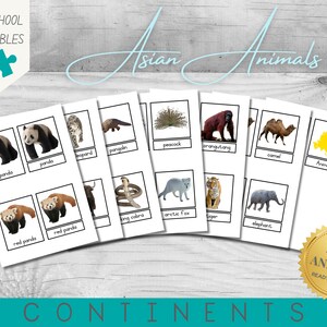 Montessori Continents | Animals of the World Bundle | Matching Cards ...