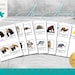 Montessori Continents | Animals of the World Bundle | Matching Cards ...