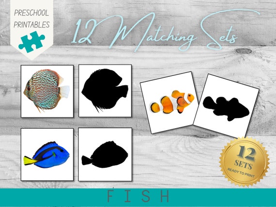 Fish Shadow Matching Preschool Activity 12 Sets 24 Cards - Etsy