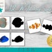 Fish Shadow Matching Preschool Activity | 12 Sets | 24 Cards | High ...
