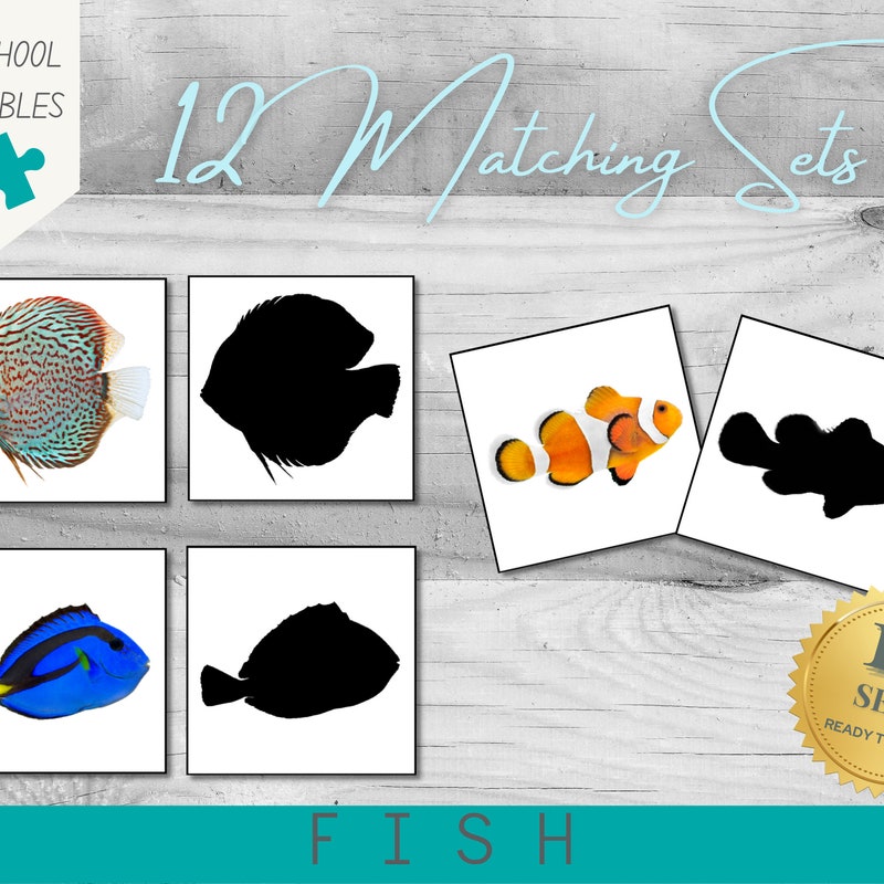One Fish Two Fish - Etsy