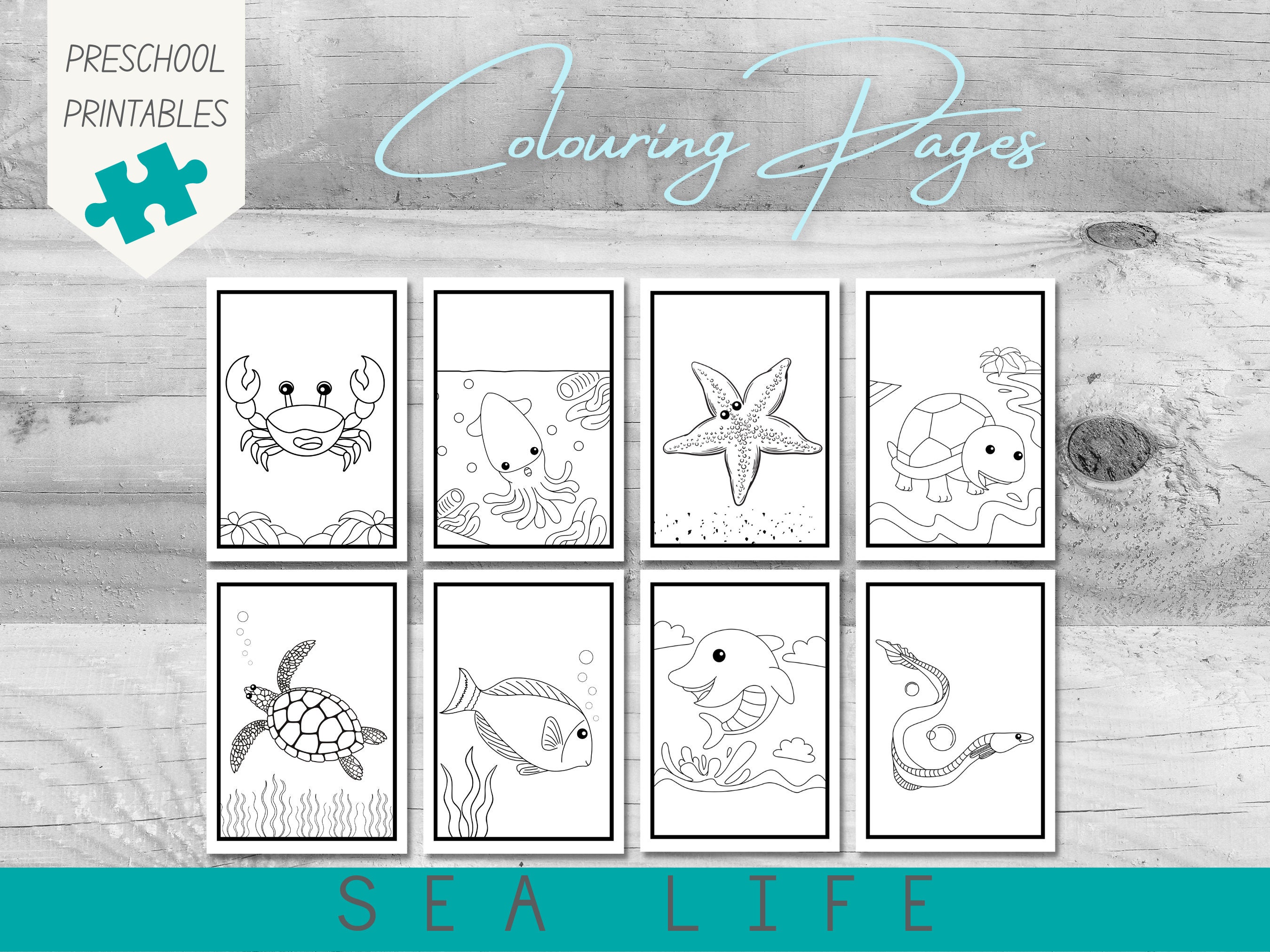 Sea Life Colouring Pages | Preschool Activity | Home & School | Ocean ...