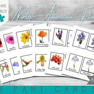 North American Flowers | Montessori Continents Preschool Activity | 12 ...