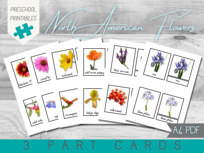 North American Flowers | Montessori Continents Preschool Activity | 12 ...
