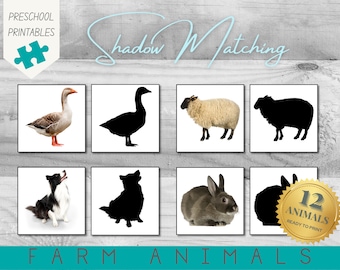 African Animal Shadow Matching Cards | 12 Sets | PDF Printable - Etsy