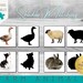 Farm Animal Shadow Matching Cards | 12 Sets | PDF Printable - Etsy