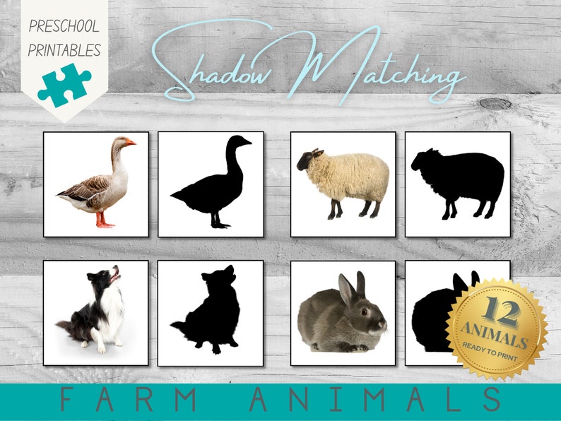 Farm Animal Shadow Matching Cards | 12 Sets | PDF Printable - Etsy
