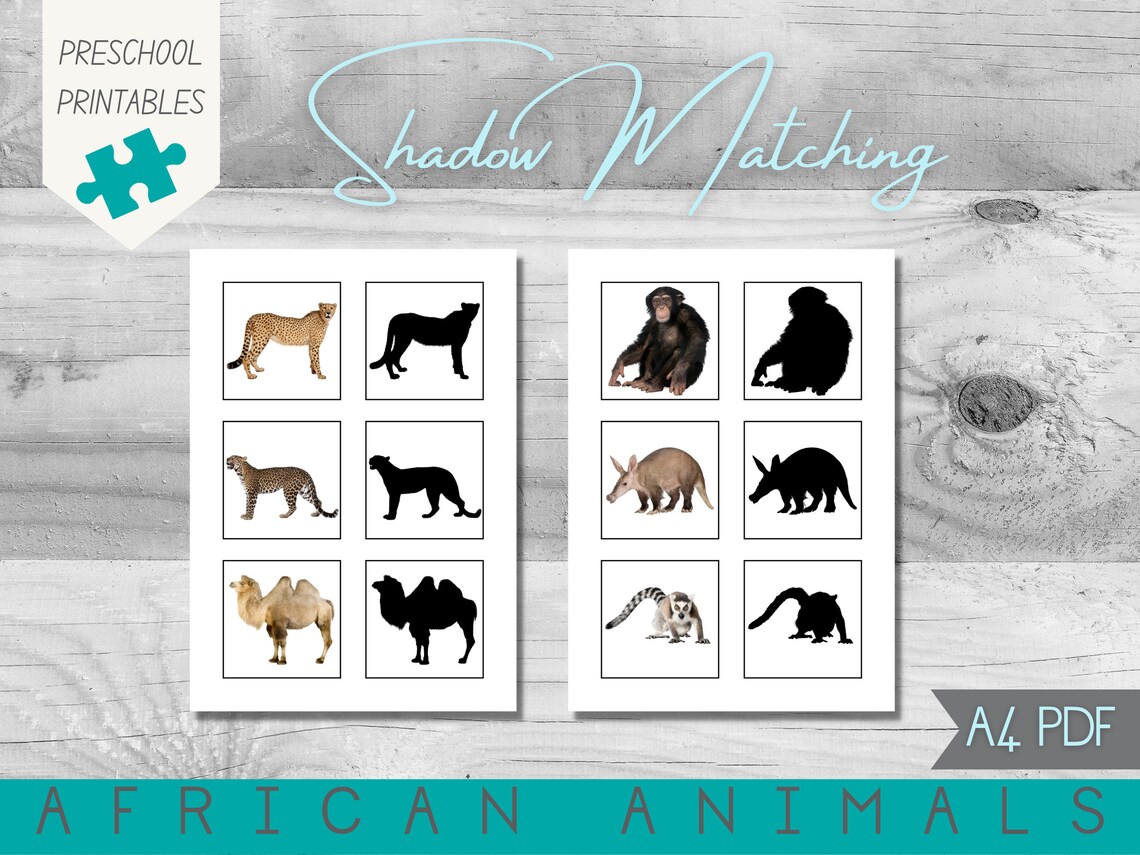 African Animal Shadow Matching Cards | 12 Sets | PDF Printable - Etsy