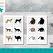 African Animal Shadow Matching Cards | 12 Sets | PDF Printable - Etsy