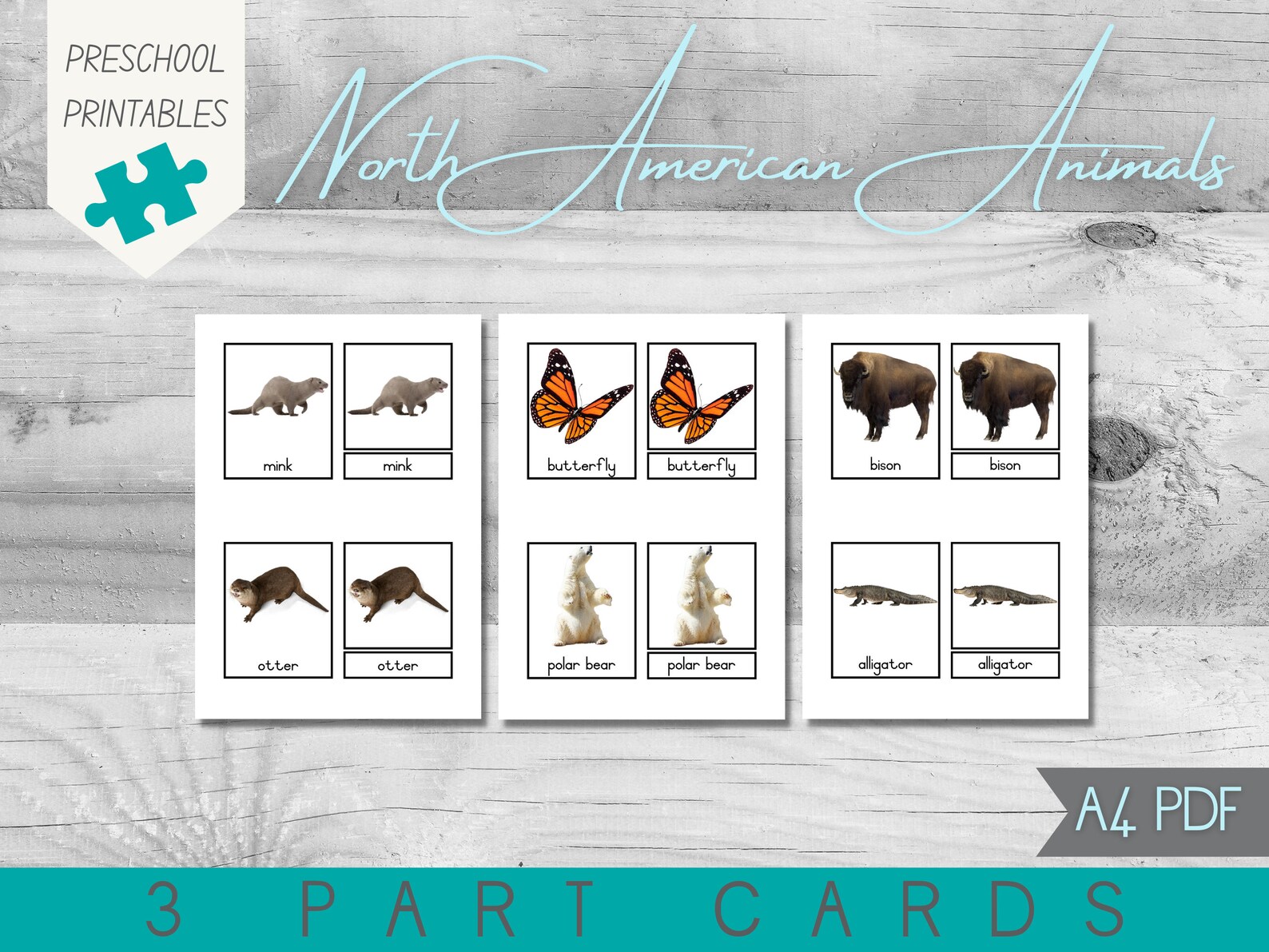 North American Animals | Montessori Continents | 12 Sets | 3 Part Cards ...