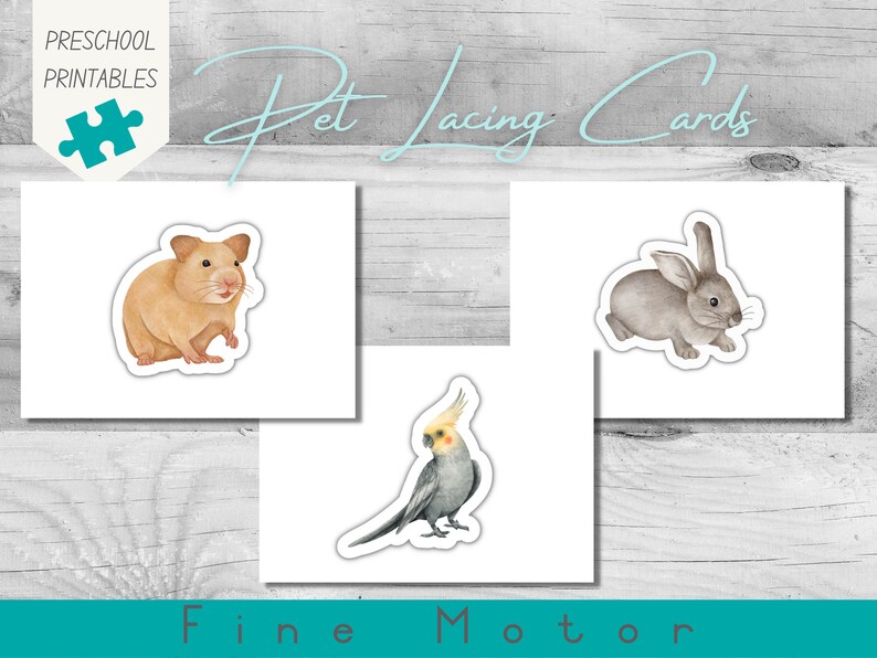 Pets Lacing Card Activity | Preschool & Homeschool | Montessori | Fine ...
