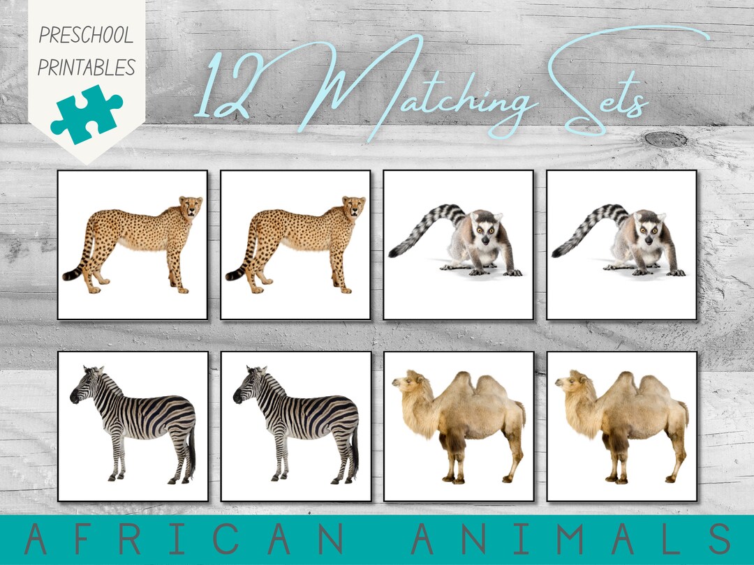 African Animal Matching Cards | 12 Sets | PDF Printable - Etsy