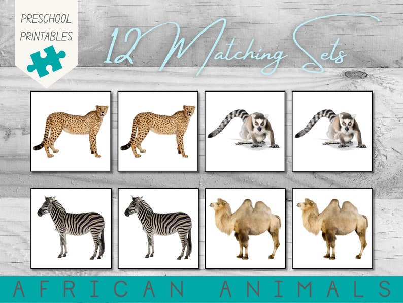 African Animal Matching Cards | 12 Sets | PDF Printable - Etsy