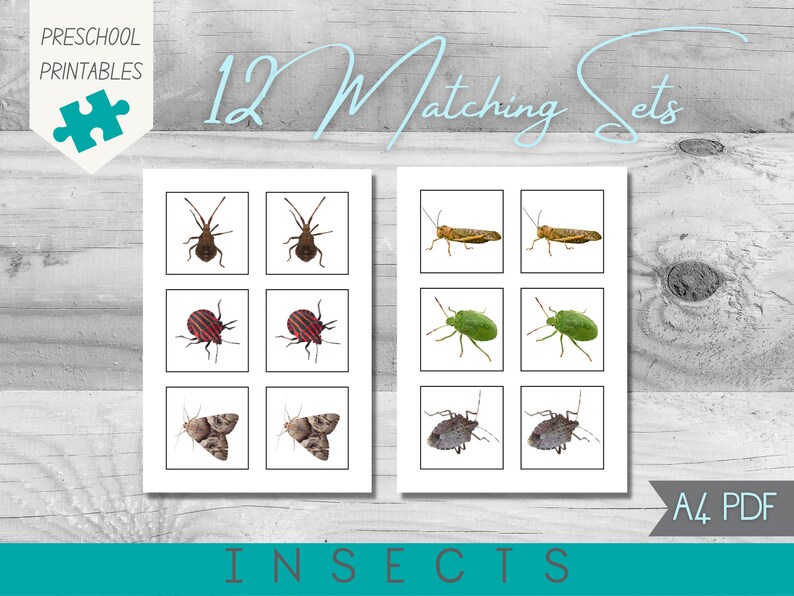 Insect Matching Preschool Activity | 12 Sets | 24 Cards | High ...