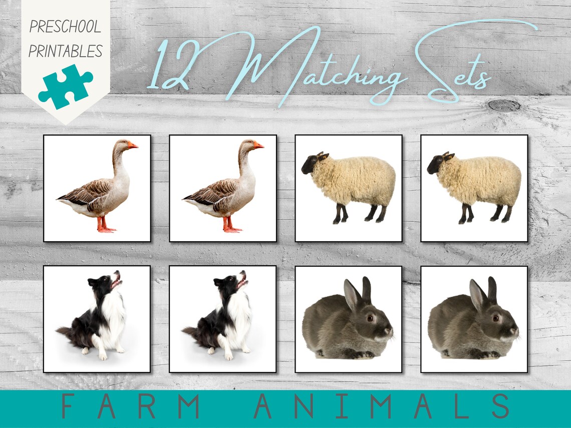 Farm Animal Matching Cards | 12 Sets | PDF Printable - Etsy