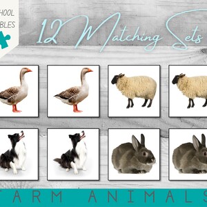 Farm Animal Matching Cards | 12 Sets | PDF Printable - Etsy