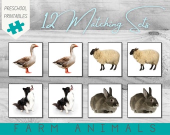 African Animal Shadow Matching Cards 12 Sets PDF Printable | Etsy