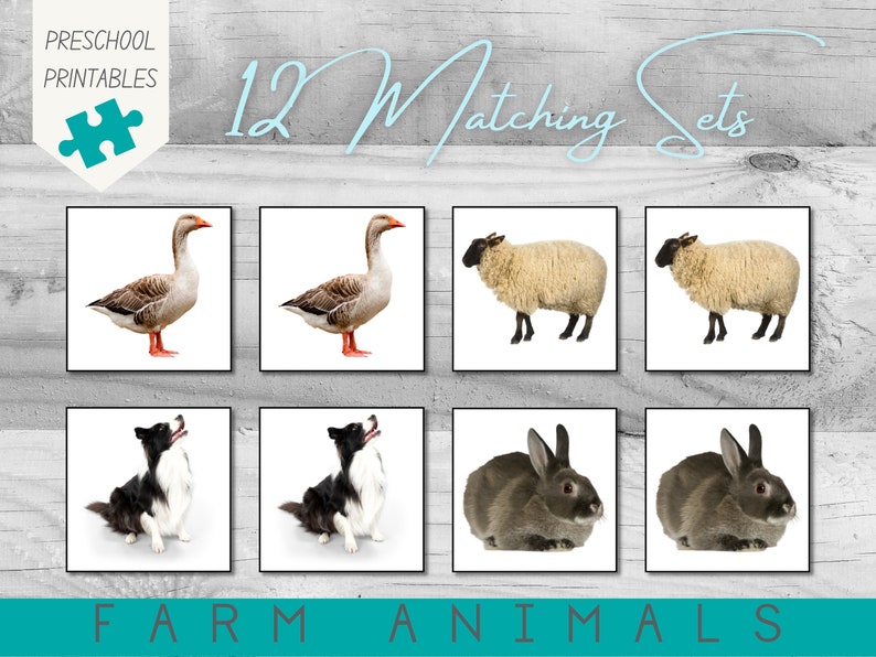 Farm Animal Matching Cards | 12 Sets | PDF Printable - Etsy